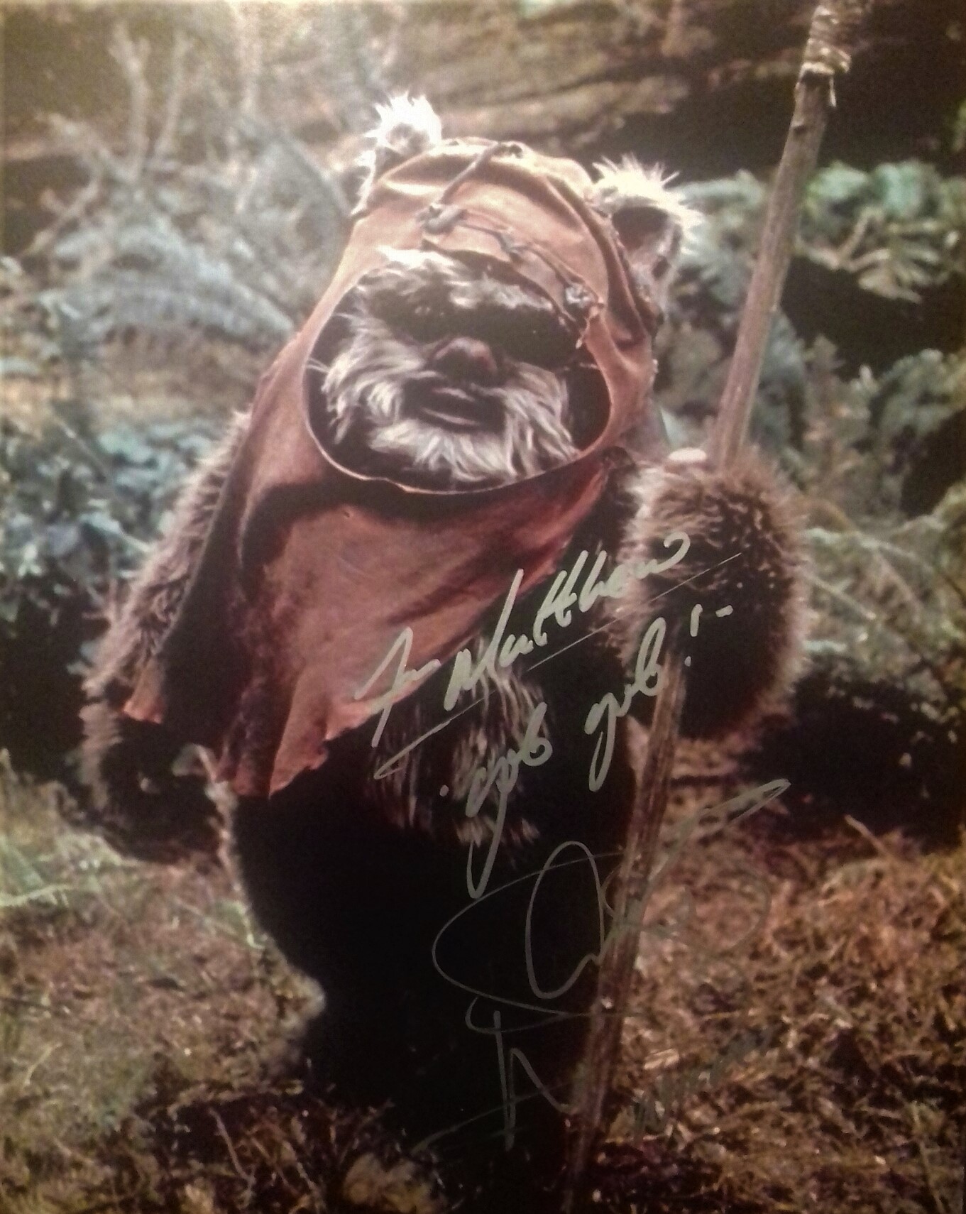 Warwick Davis remembers his favourite Star Wars moments - Fantha Tracks ...