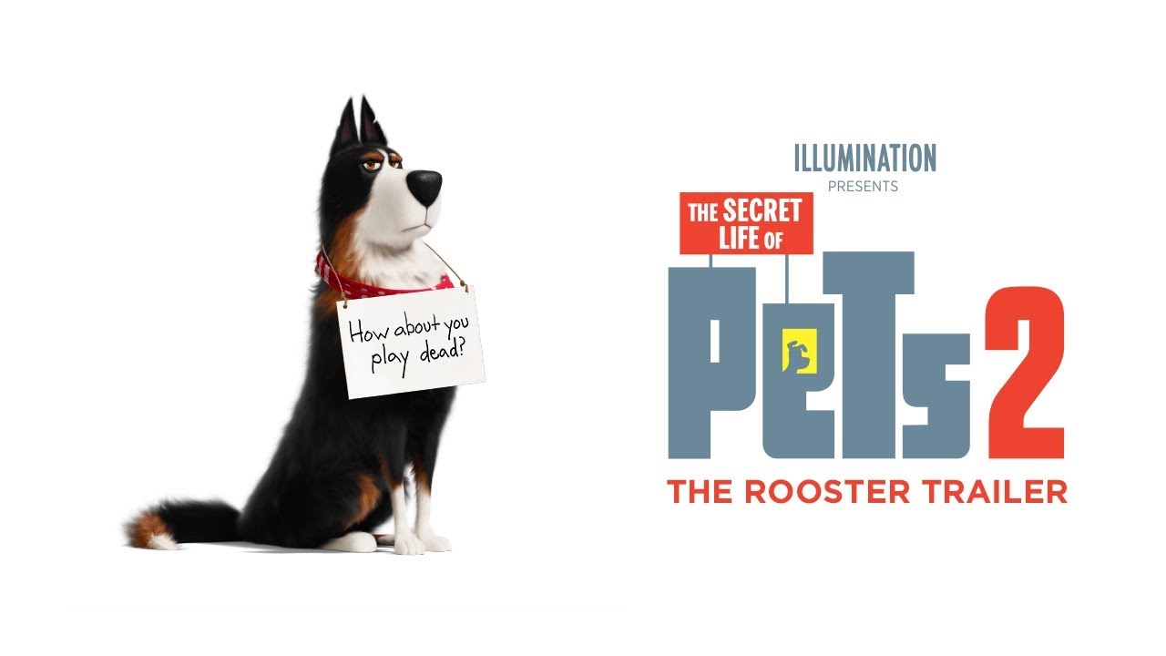 Introducing Rooster aka Harrison Ford in The Secret LIfe of Pets 2 ...