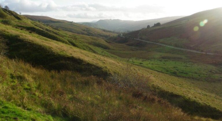 How Wales became the home of Willow - Fantha Tracks | Daily Star Wars News