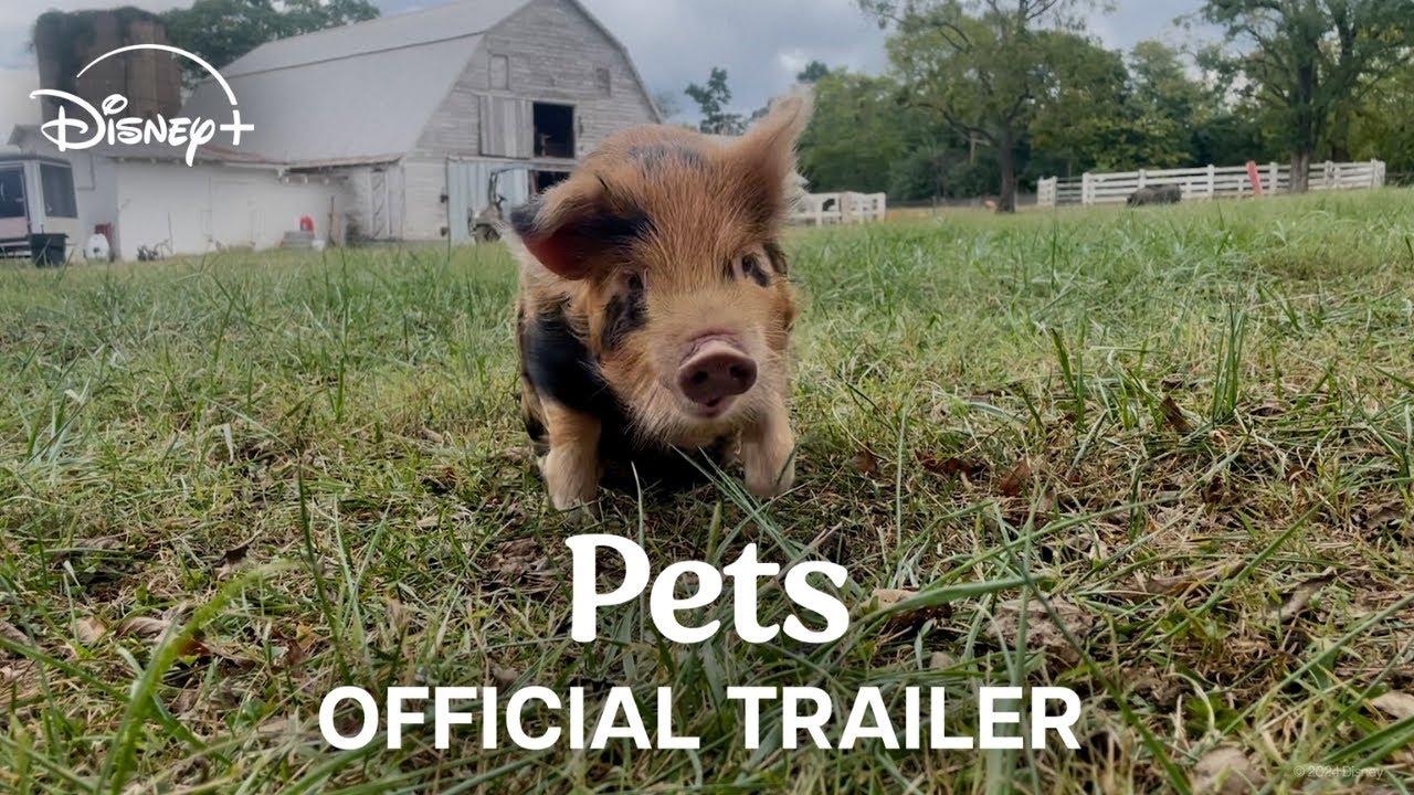 Watch the trailer for Pets, from director Bryce Dallas Howard - Fantha ...