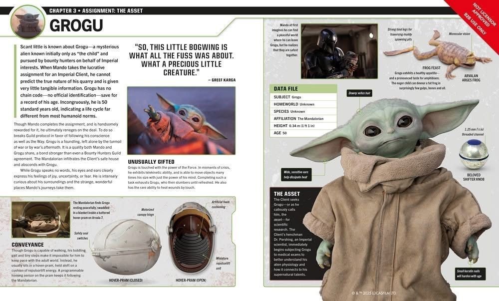 Book Review: Star Wars The Mandalorian Visual Guide - Fantha Tracks ...