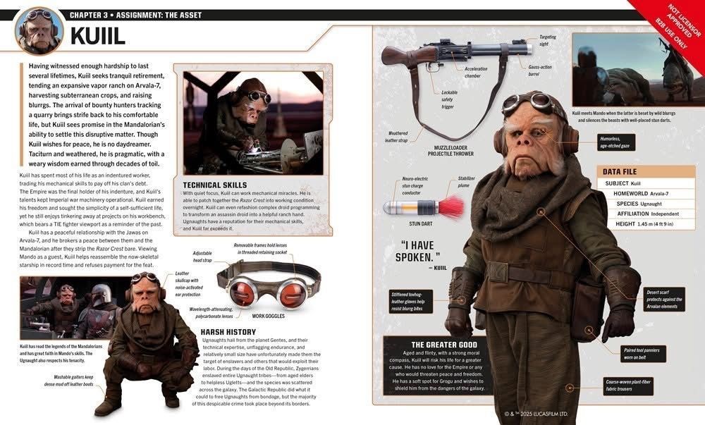 Book Review: Star Wars The Mandalorian Visual Guide - Fantha Tracks ...